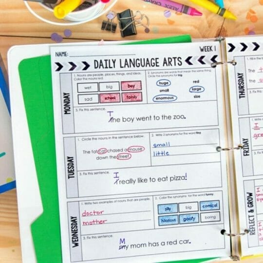4th Grade Daily Language Review - Differentiated Teaching