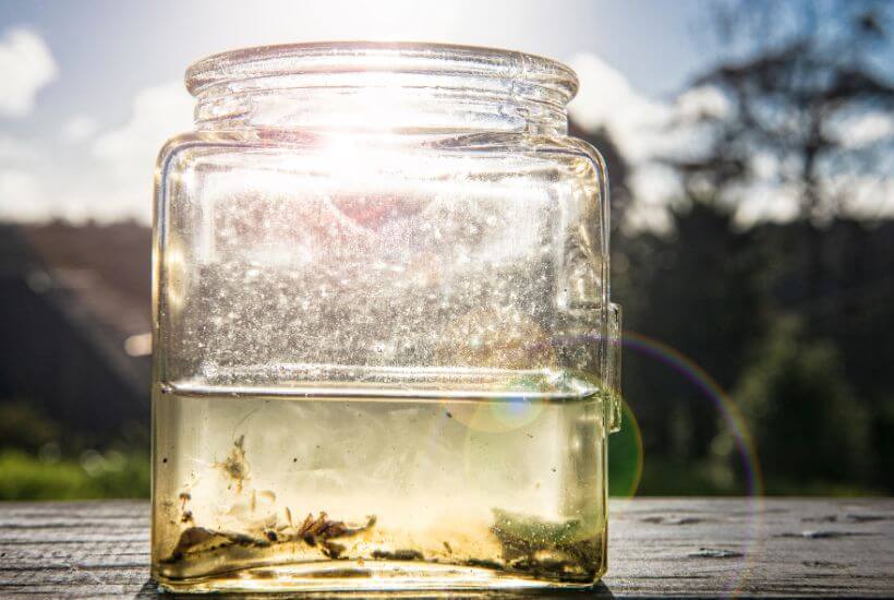 5 Epic STEM Activities for Hatchet by Gary Paulsen to Increase Engagement