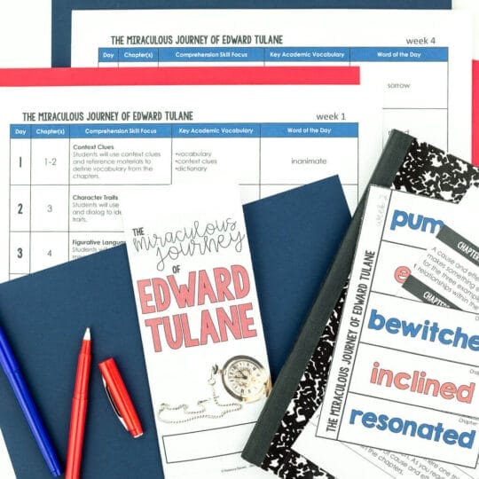 Free & Inexpensive Ideas for Your Wonder Novel Study