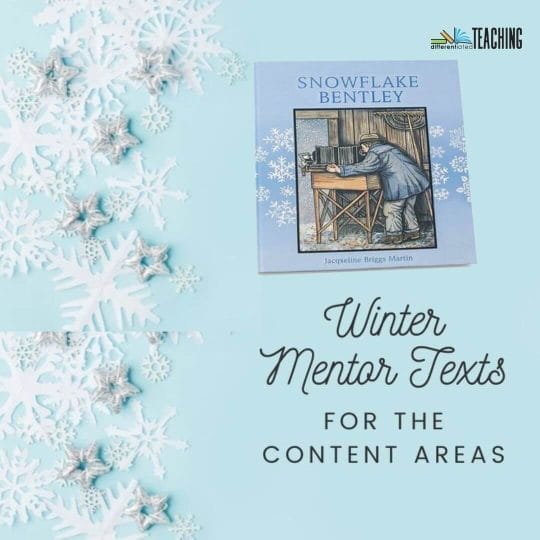 5 Fun Stone Fox Project Ideas & STEM Challenges for Your Novel Study